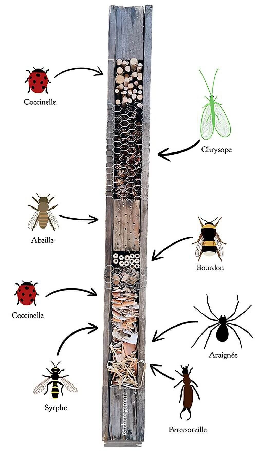 "Hôtel à insectes" | Klorane Botanical Foundation
